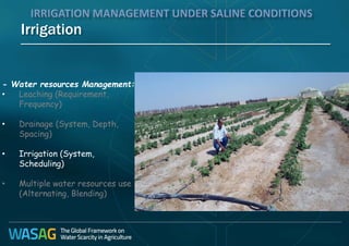 Irrigation management under saline conditions | PPTX