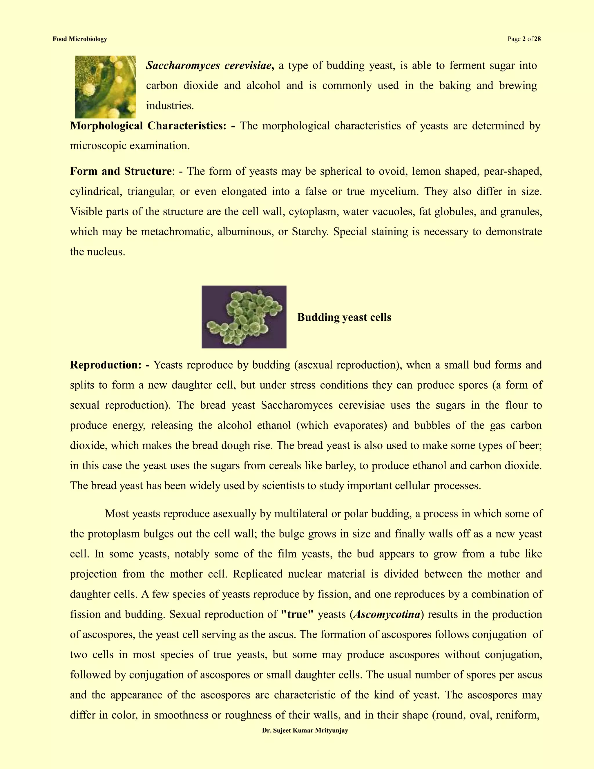 General characteristics, classification and identification of yeasts ...