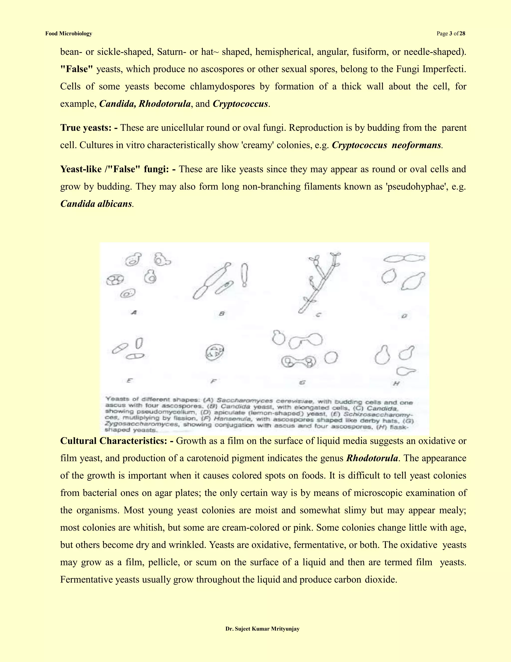 General characteristics, classification and identification of yeasts ...