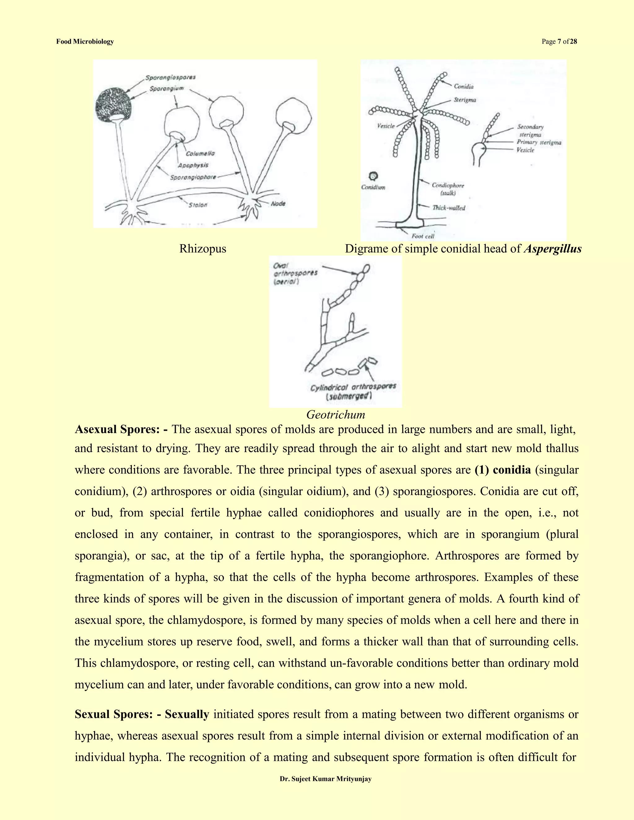 General characteristics, classification and identification of yeasts ...