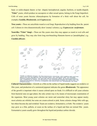 General characteristics, classification and identification of yeasts ...