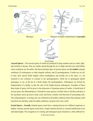 General characteristics, classification and identification of yeasts ...
