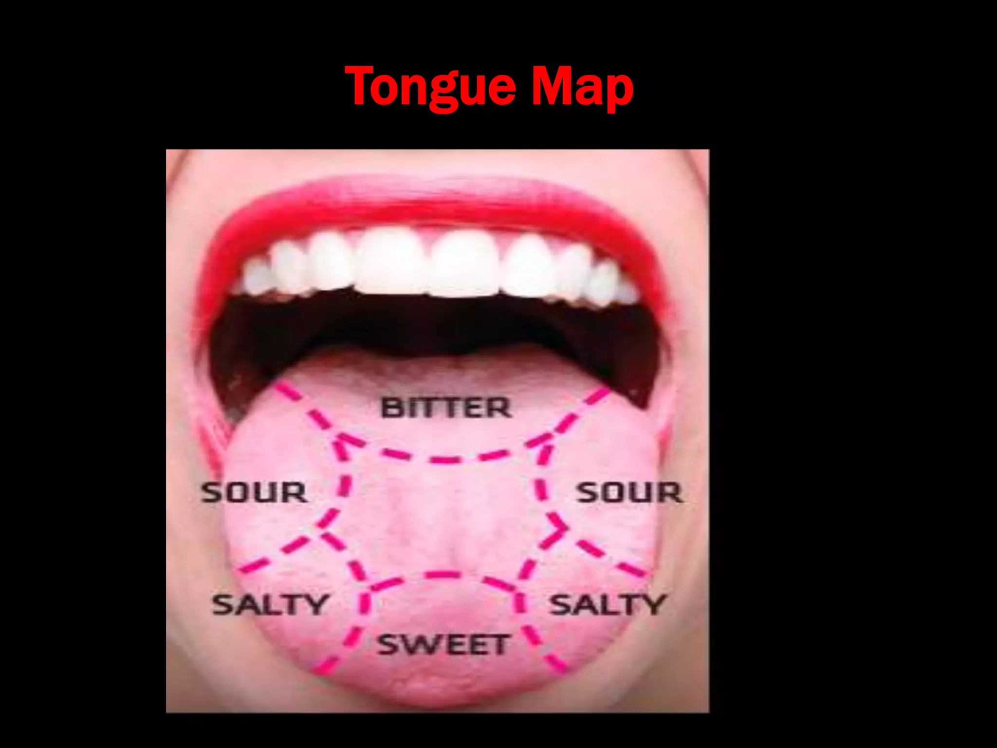 1. anatomy of oral cavity, pharynx and esophagus | PPT