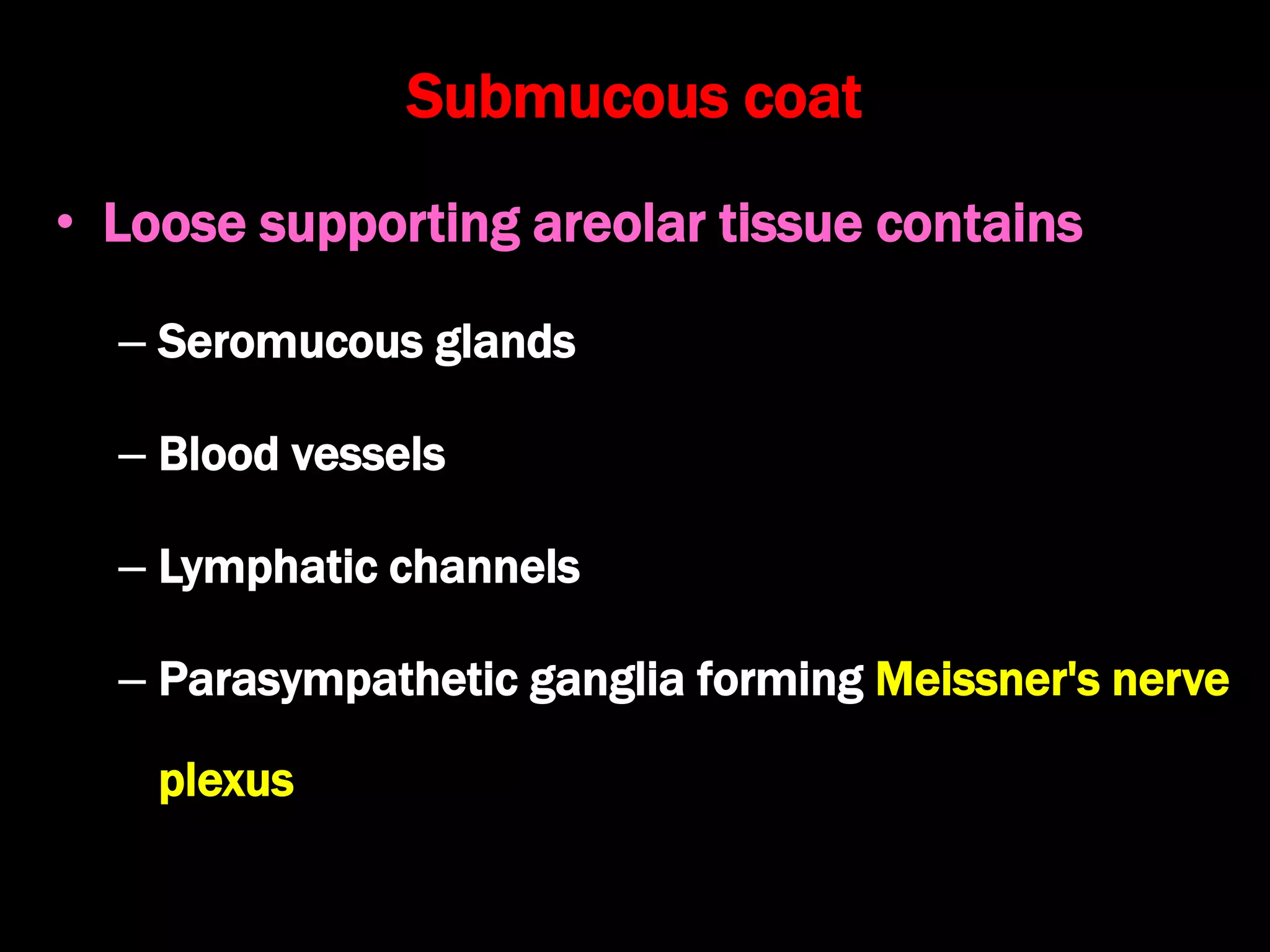 1. anatomy of oral cavity, pharynx and esophagus | PPT