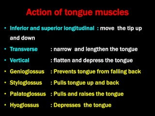 1. anatomy of oral cavity, pharynx and esophagus | PPT