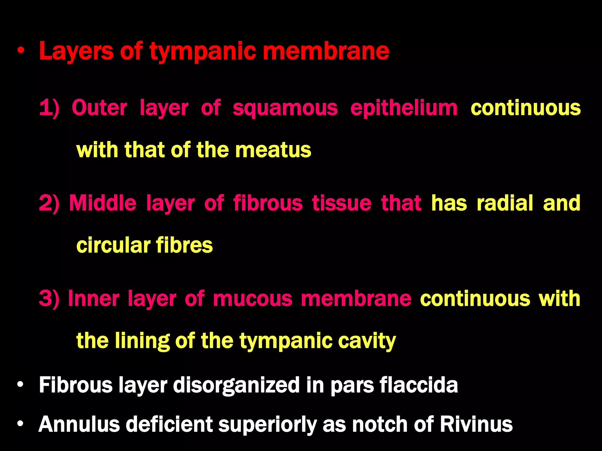 1. anatomy of ear and mastoid | PPT