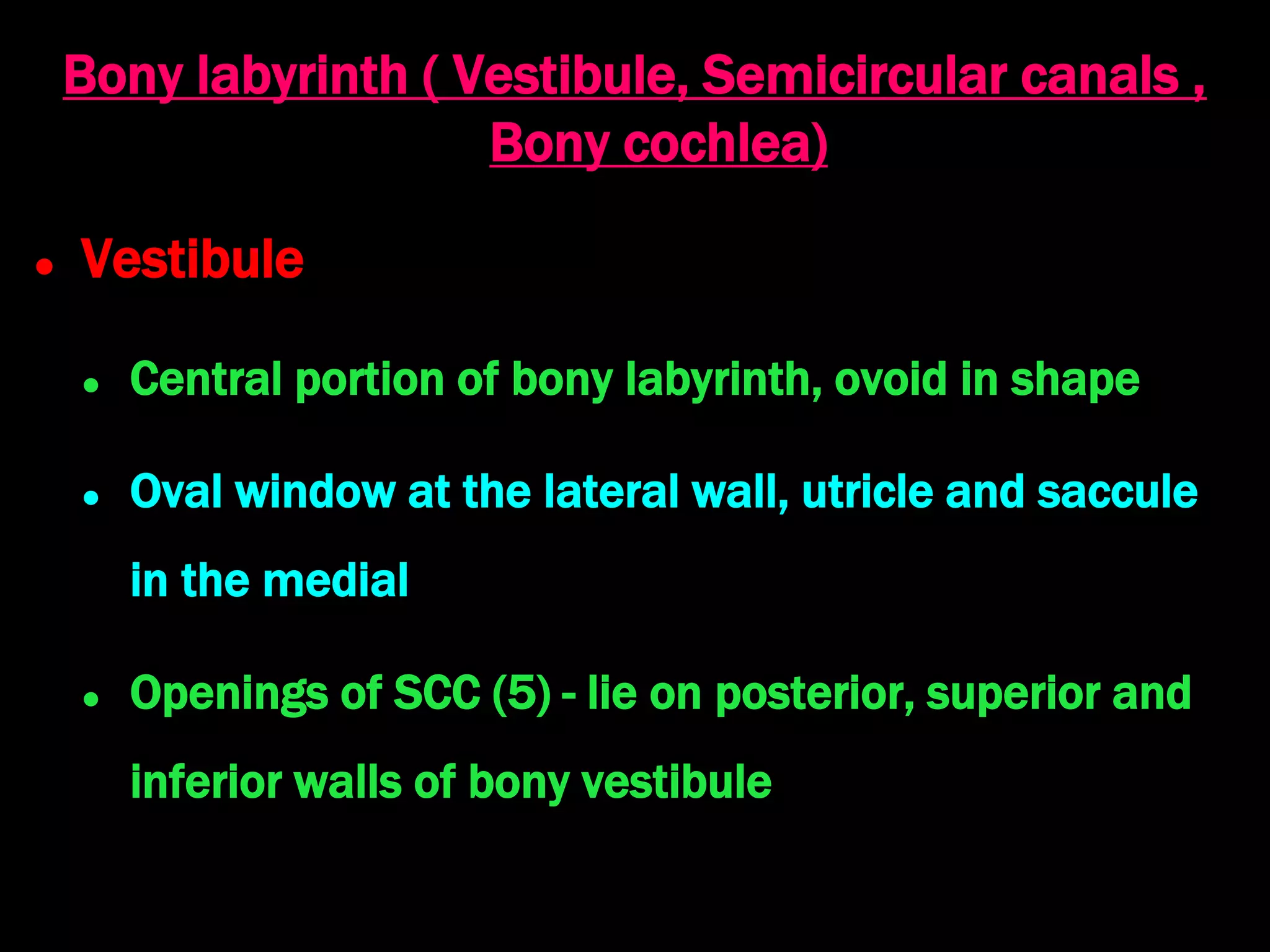 1. anatomy of ear and mastoid | PPT