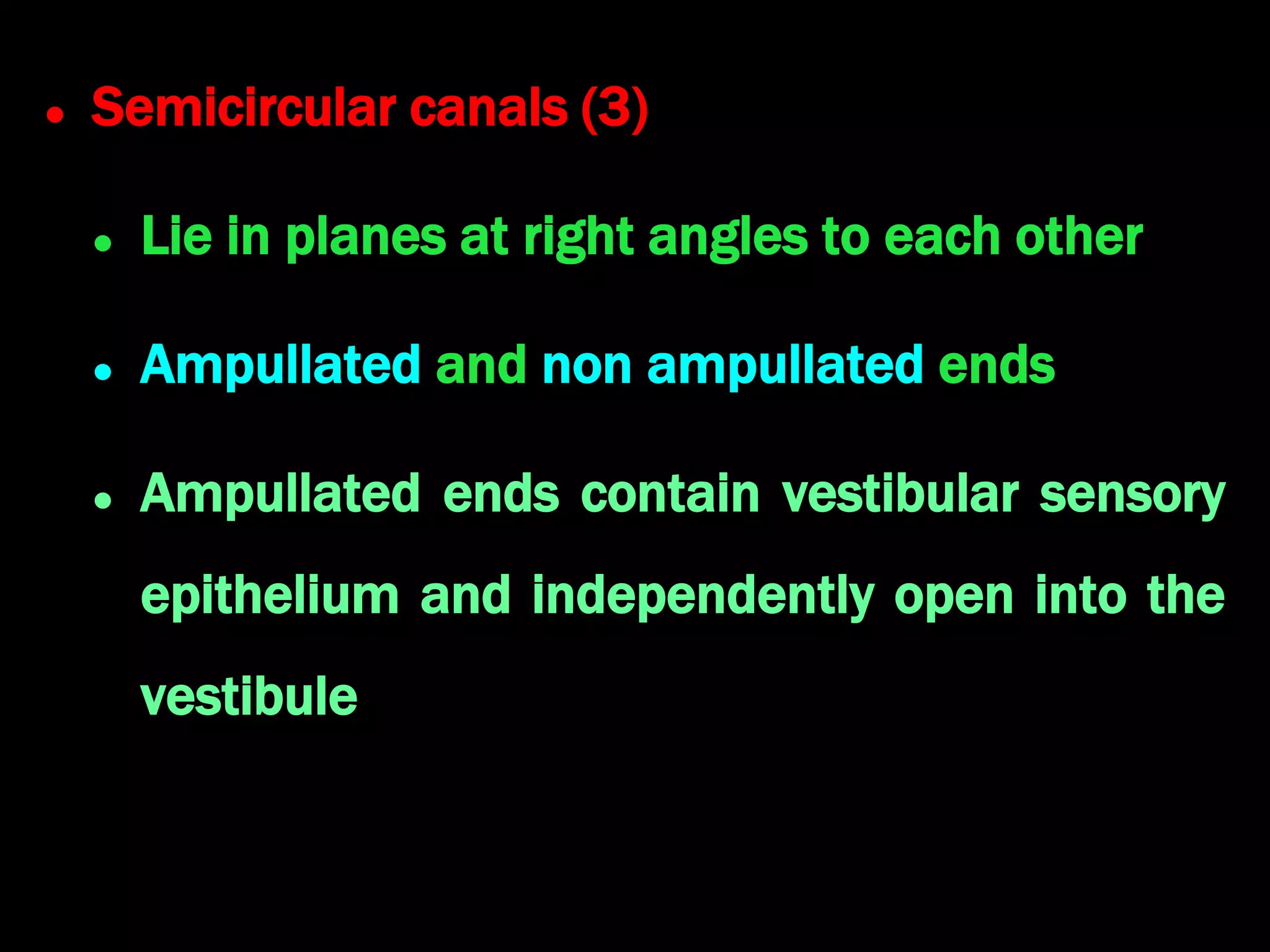1. anatomy of ear and mastoid | PPT