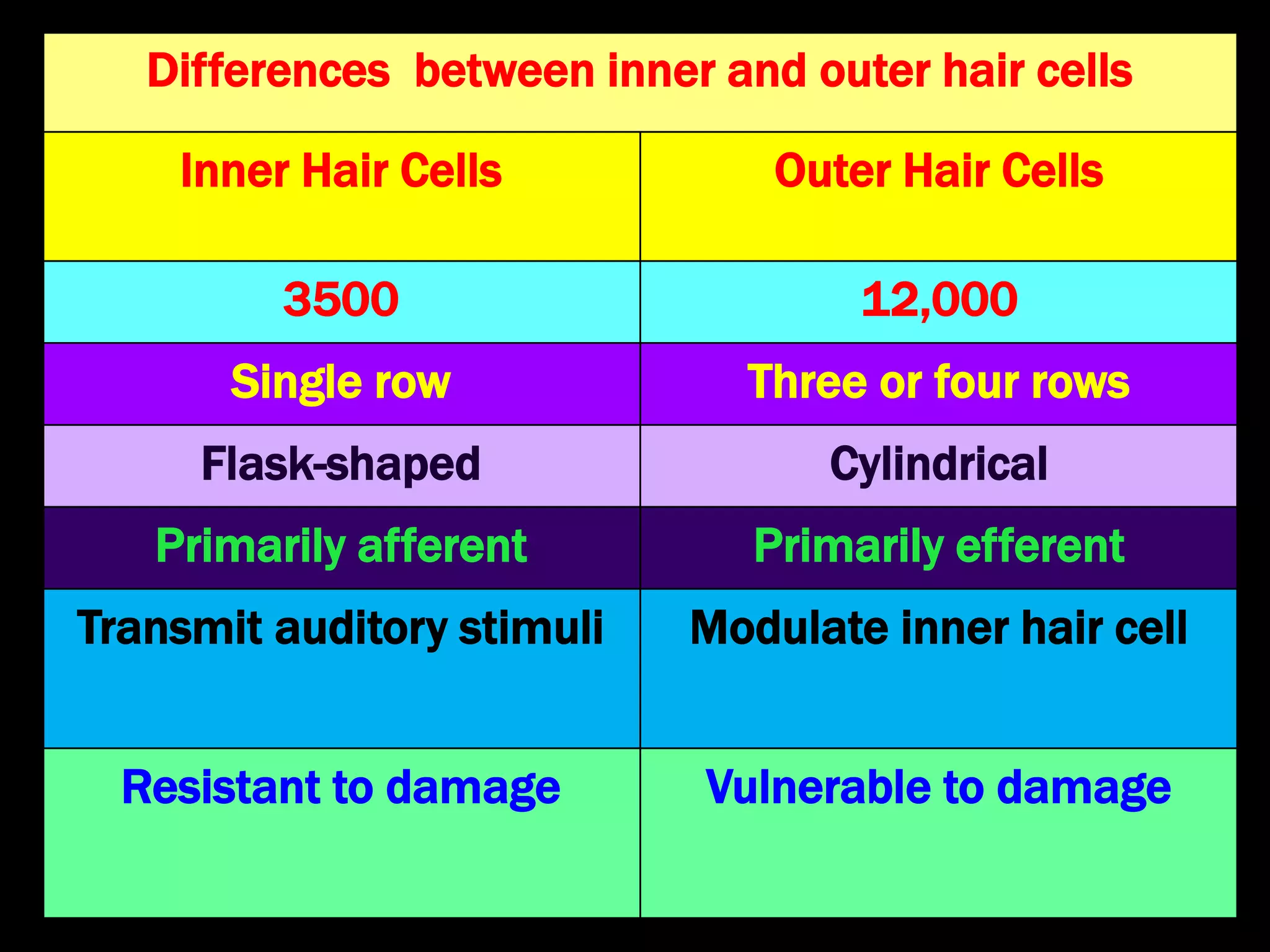 1. anatomy of ear and mastoid | PPT