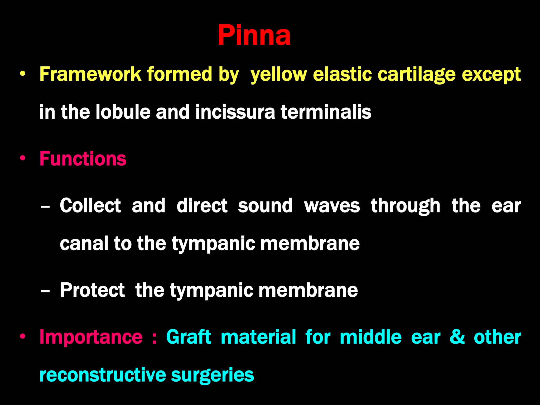 1. anatomy of ear and mastoid | PPT