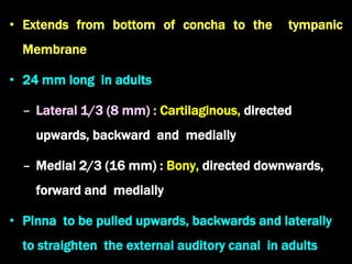 1. anatomy of ear and mastoid | PPT