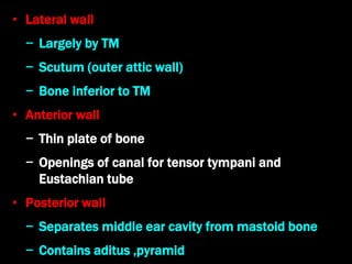 1. anatomy of ear and mastoid | PPT