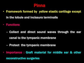 1. anatomy of ear and mastoid | PPT | Ear, Nose and Throat Conditions ...