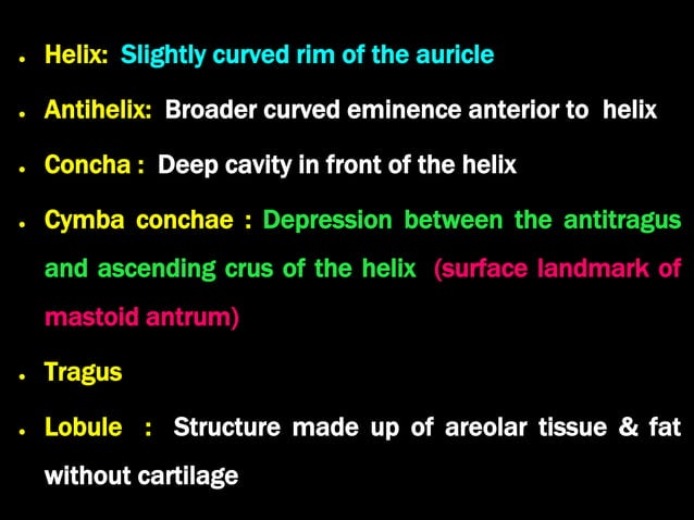 1. anatomy of ear and mastoid | PPT | Ear, Nose and Throat Conditions ...
