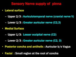 1. anatomy of ear and mastoid | PPT