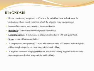 japenese encephalitis | PPTX