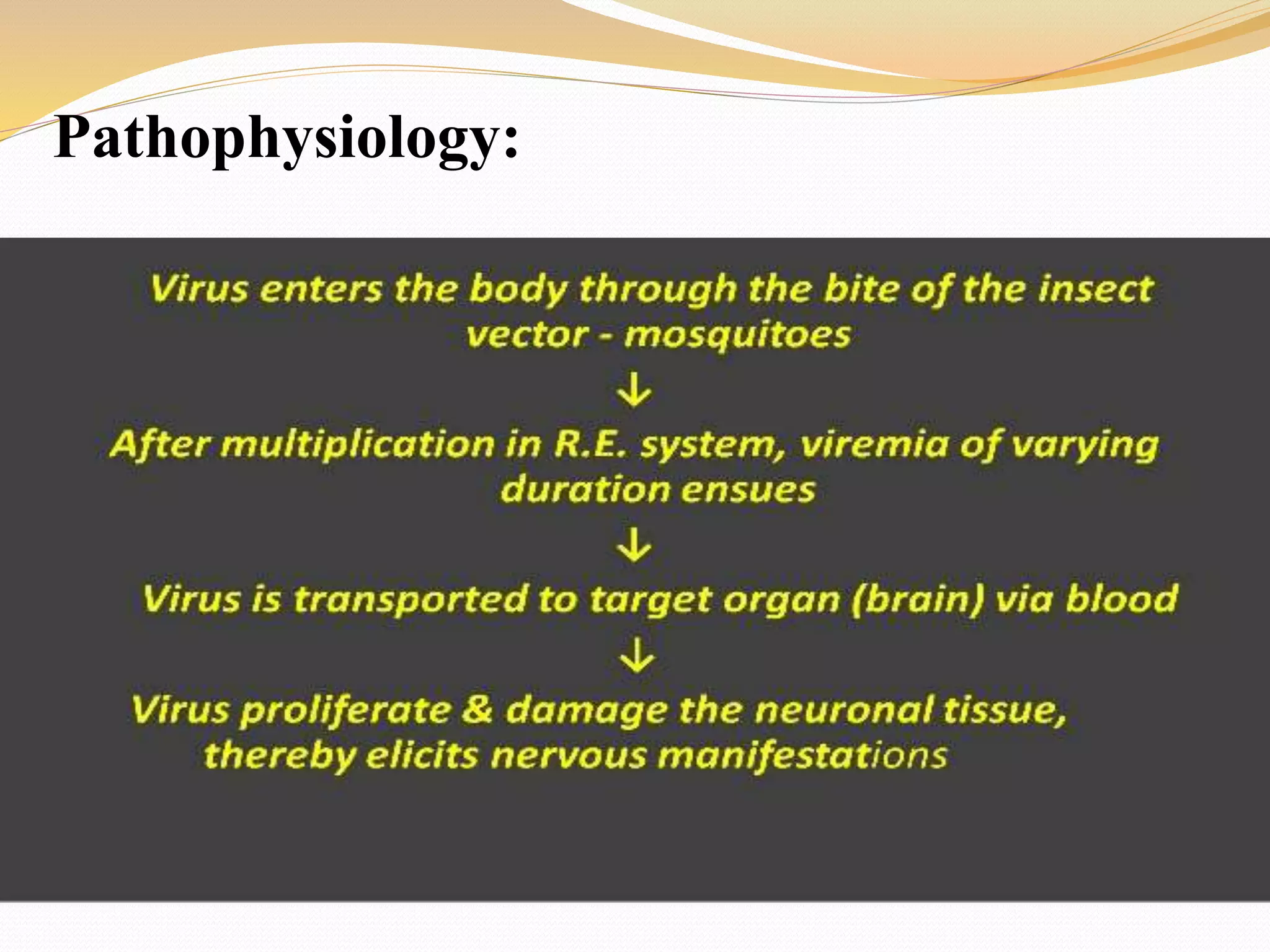 japenese encephalitis | PPTX