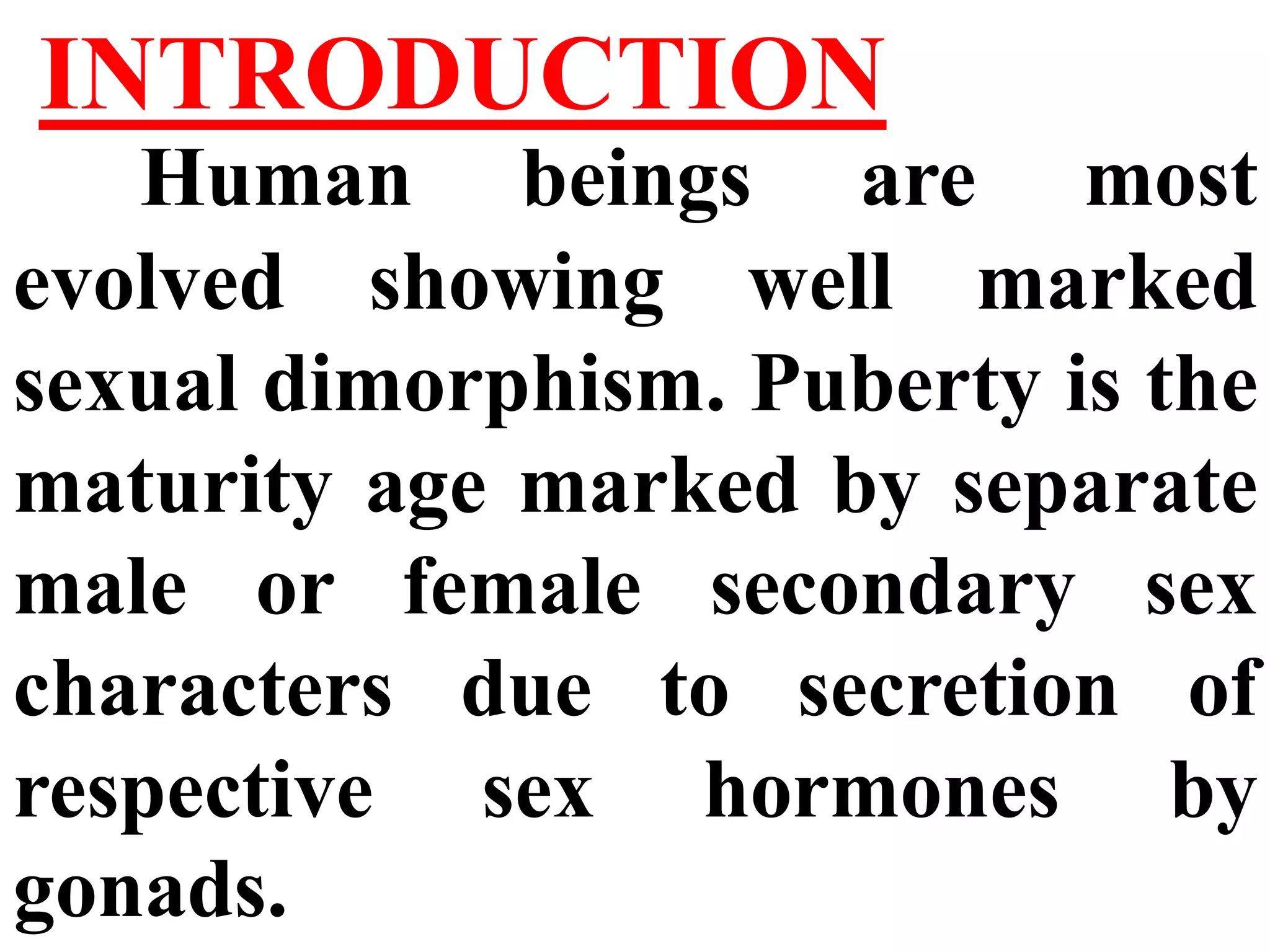 Human Male Reproductive System | PDF