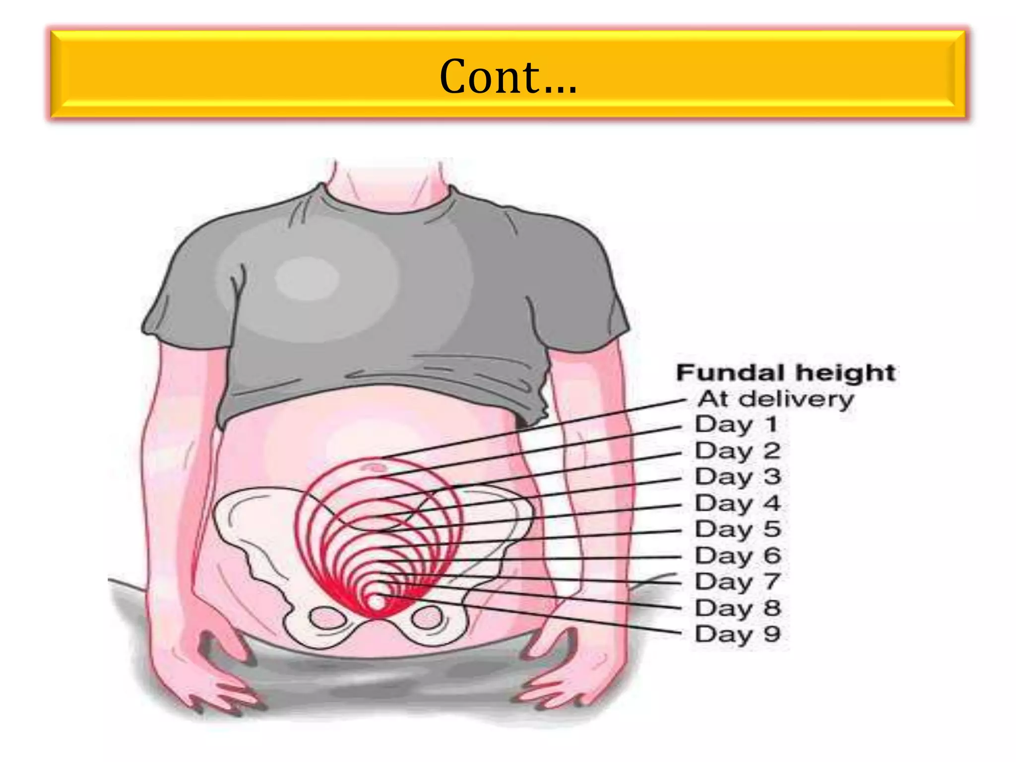 Normal Puerperium | PPTX