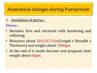 Normal Puerperium | PPTX