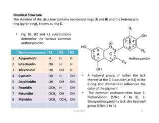 1.1 flavonoids details-anthocyanins and medicinal | PDF