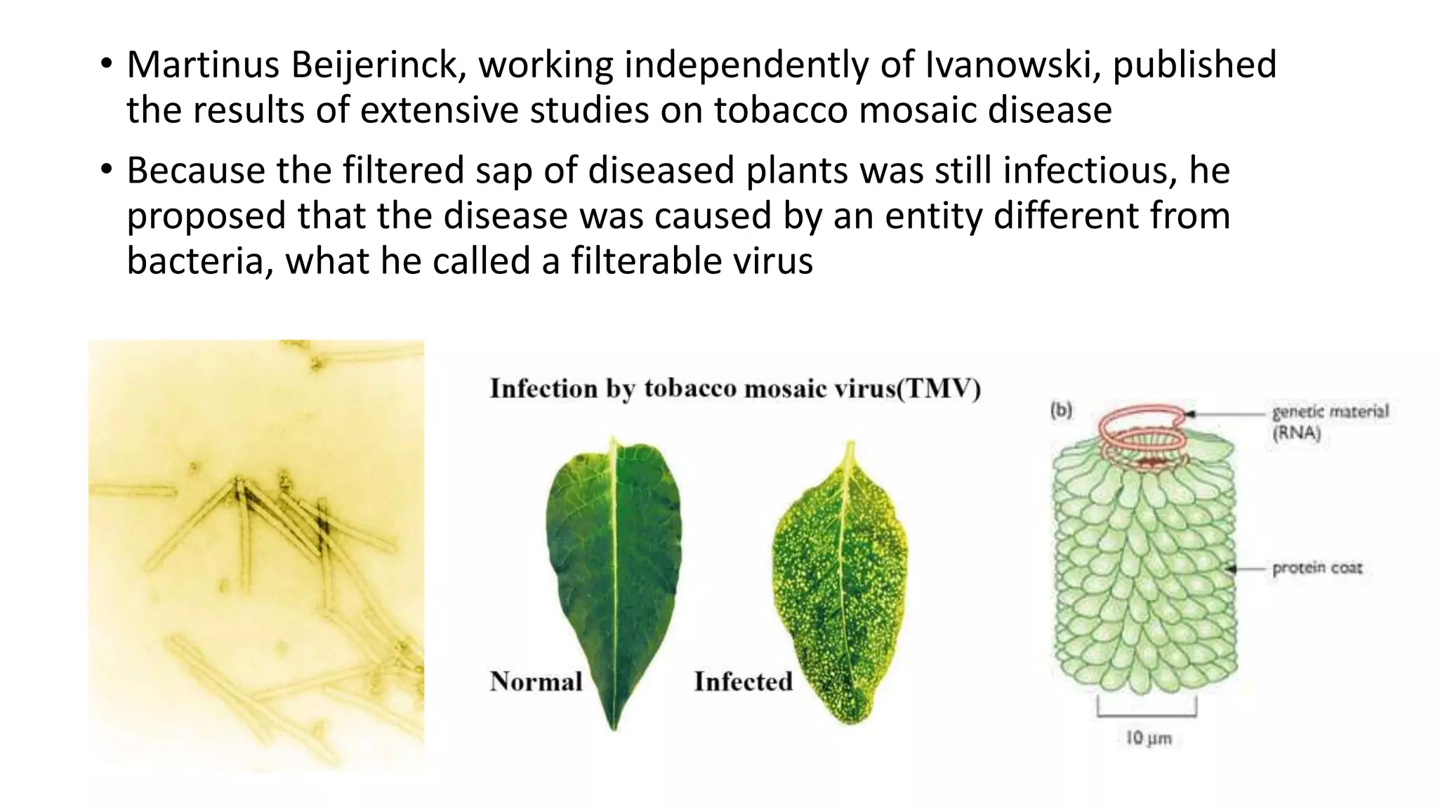 origin of viruses | PPTX