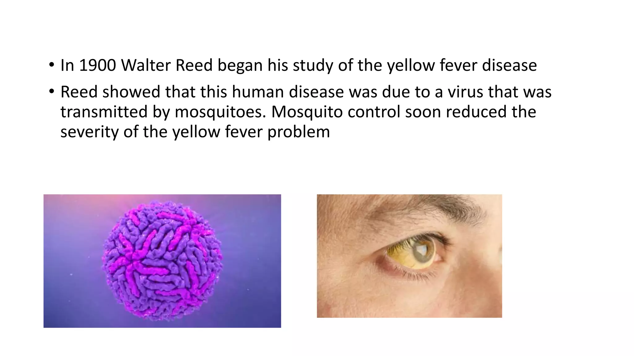 origin of viruses | PPTX