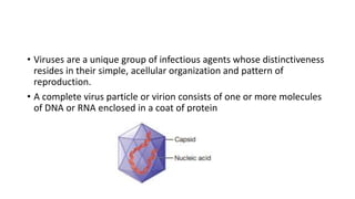 general properties of virus | PPTX