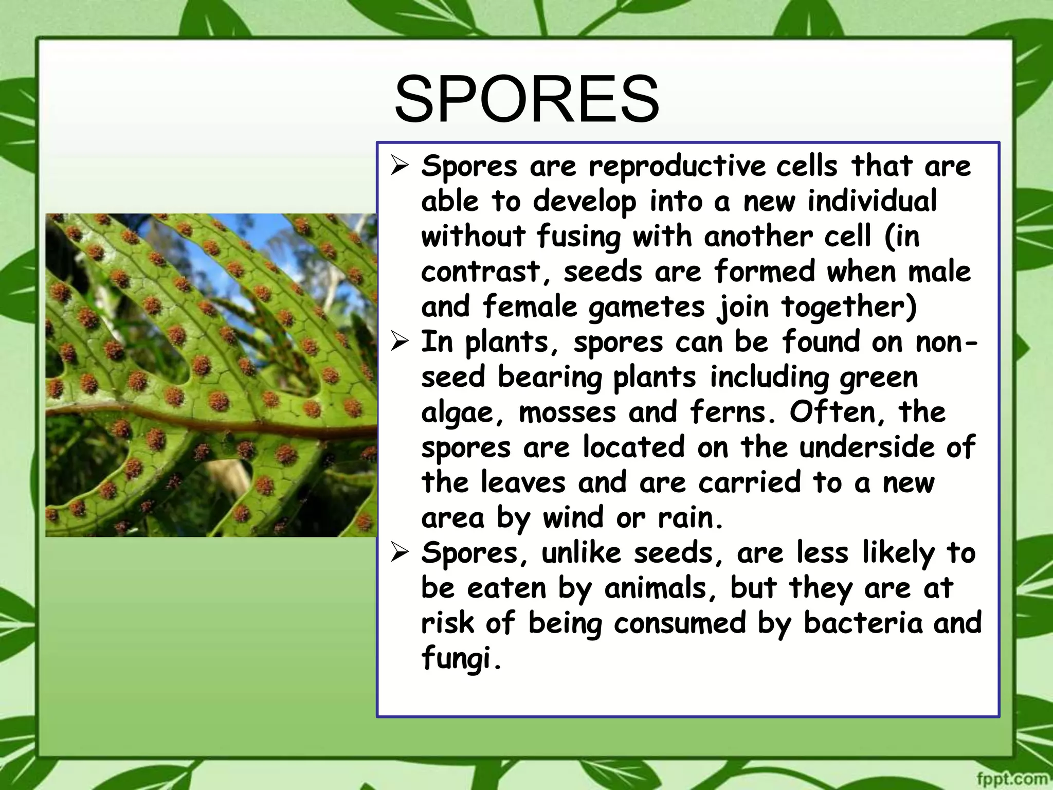 1. materi science p5 ws 1 reproduction vegetatif of naturally | PPT