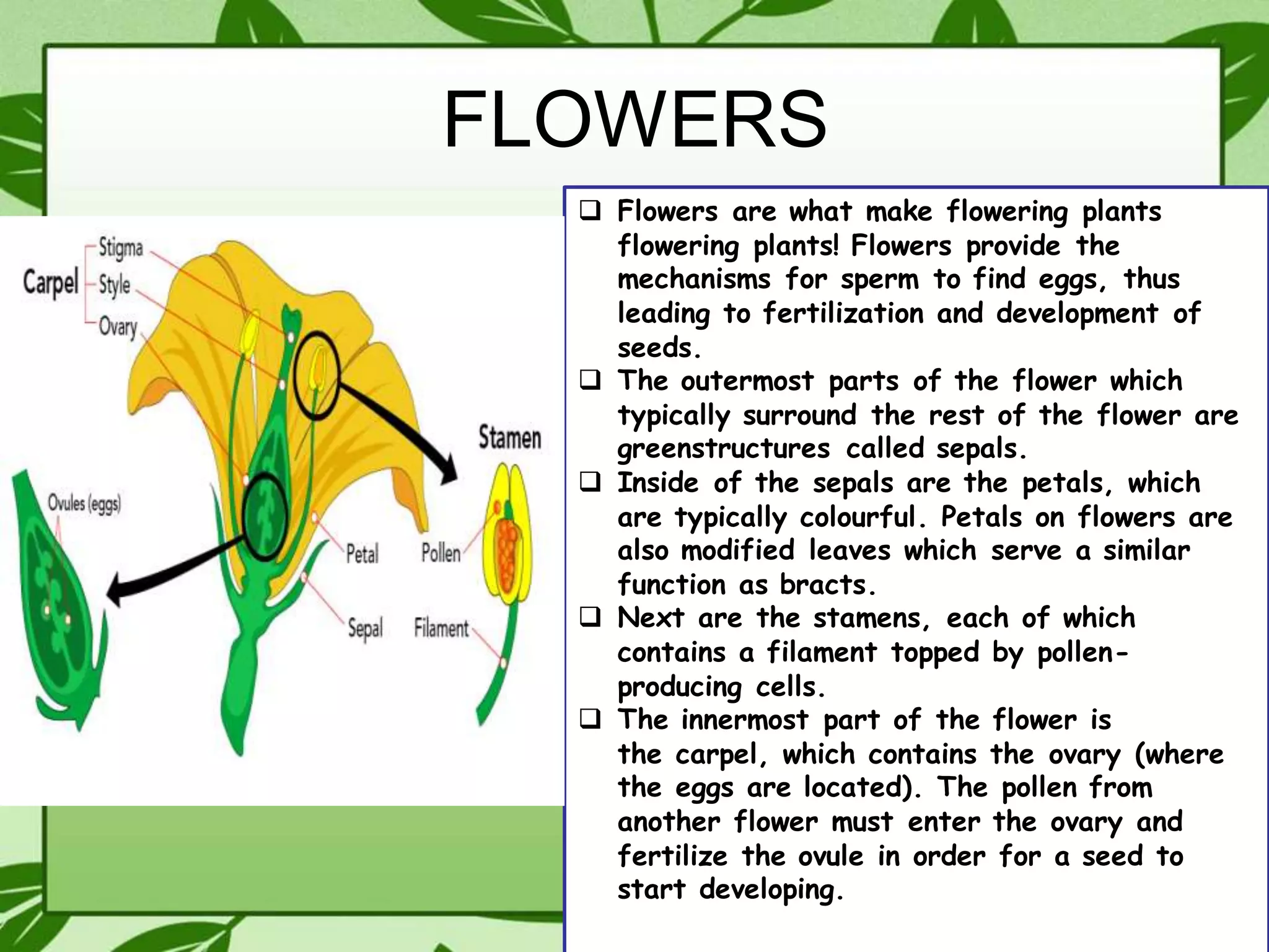 1. materi science p5 ws 1 reproduction vegetatif of naturally | PPT