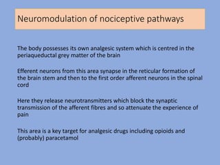 Opioid analgesics or drugs used in opioids | PPT