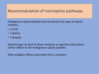 Opioid analgesics or drugs used in opioids | PPT