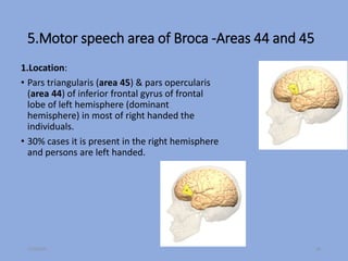 Functional areas of brain | PPTX