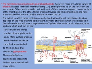 Drug targets at molecular level | PPTX