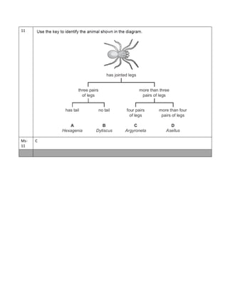 1.7 dichotomous keys-set-1-ms | PDF