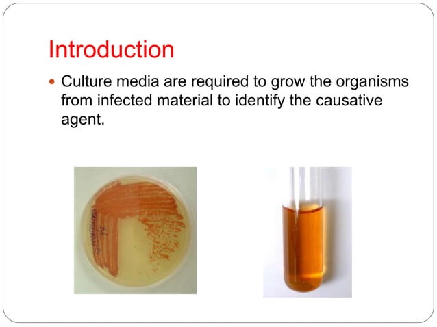 1.culture media and culture methods | PPT