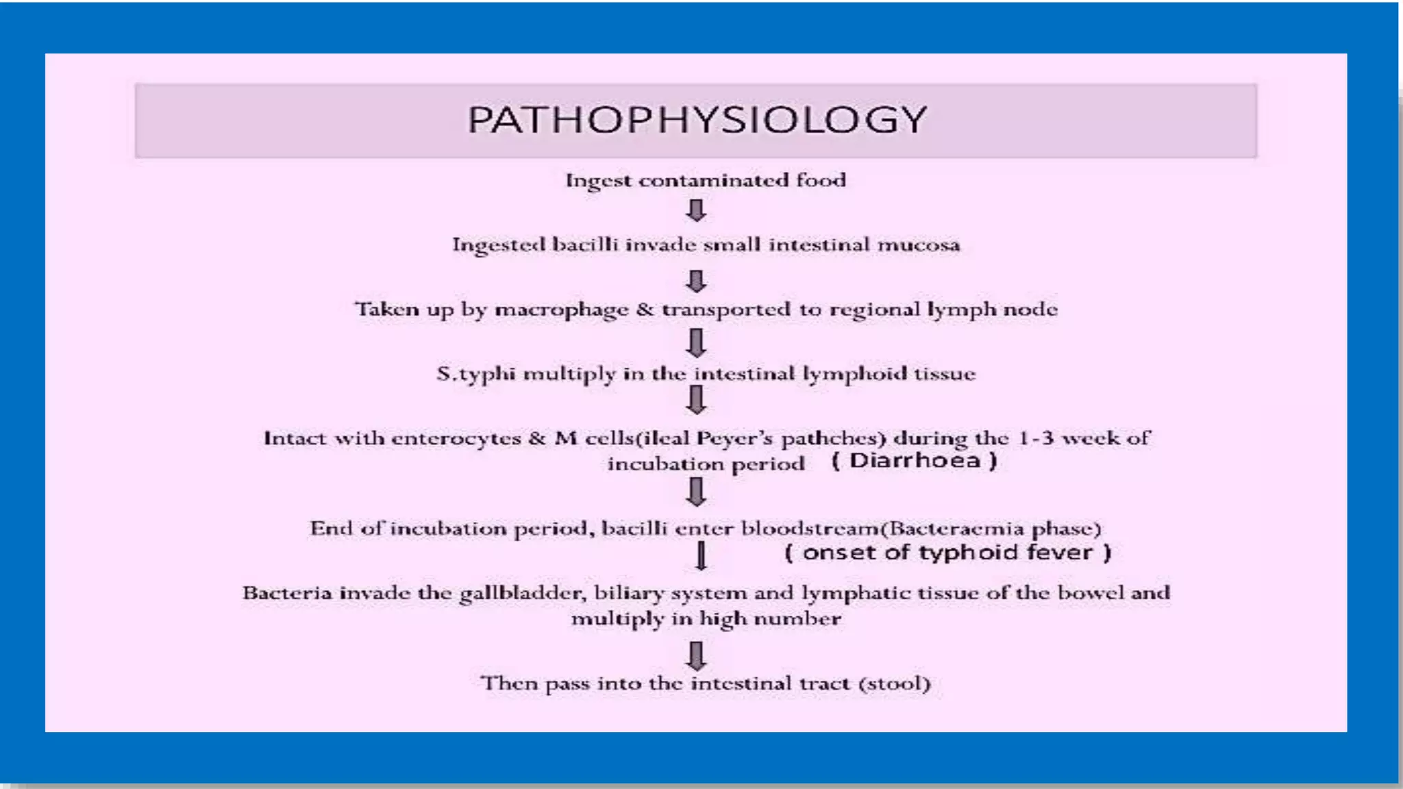 a case study on typhoid ( enteric fever) | PPTX