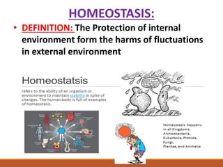 1.homeostasis (1) | PPTX | Biological Sciences | Science