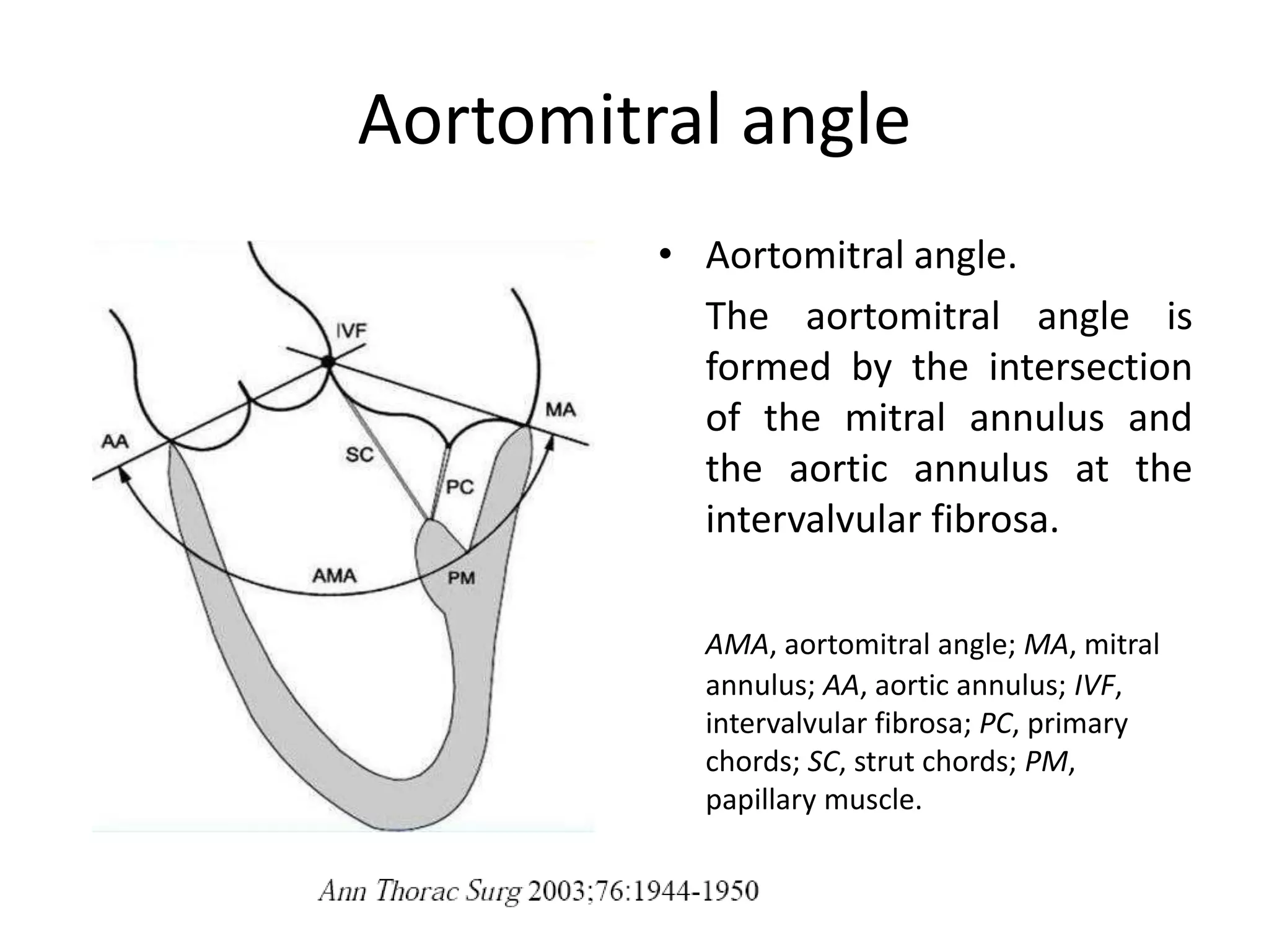 anatomy of mitral valve | PPTX