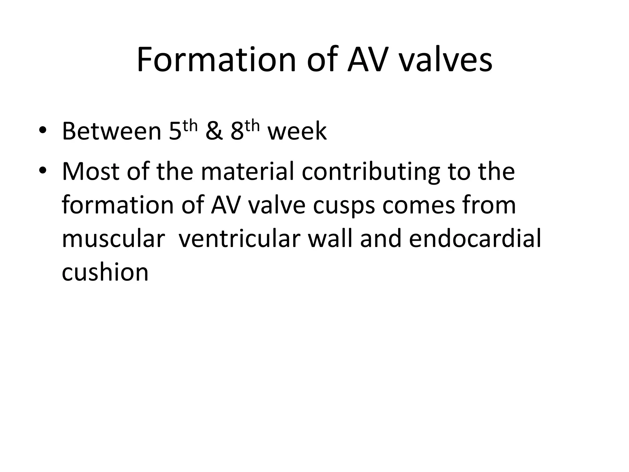 anatomy of mitral valve | PPTX