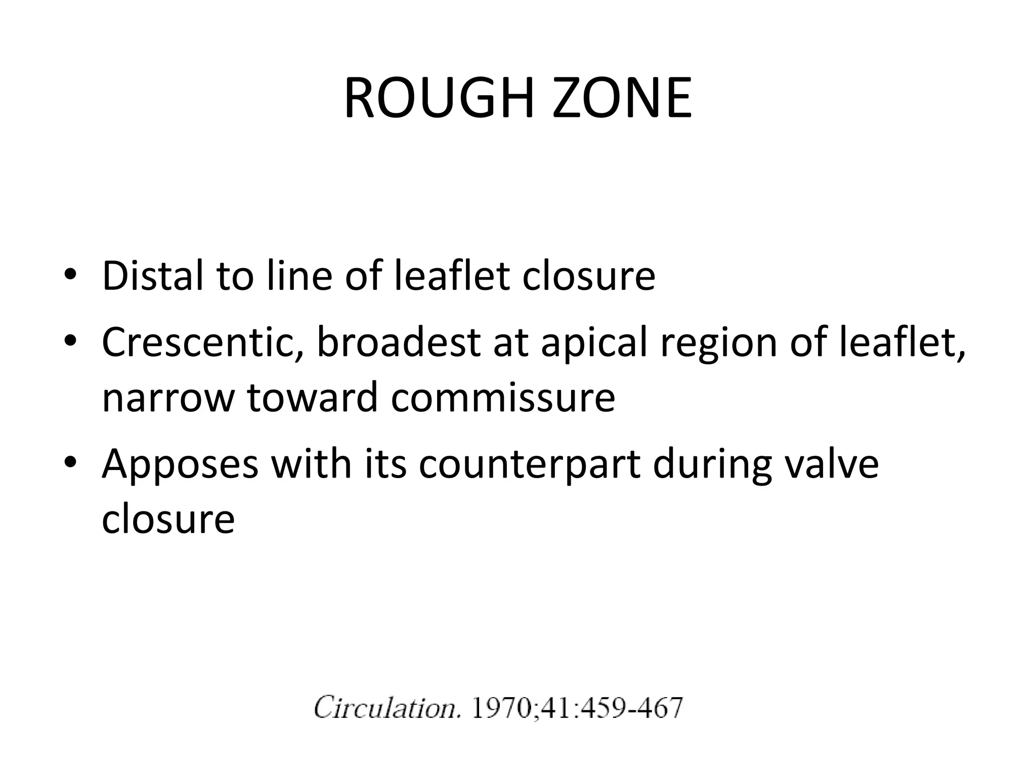 anatomy of mitral valve | PPTX