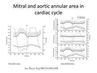 anatomy of mitral valve | PPTX