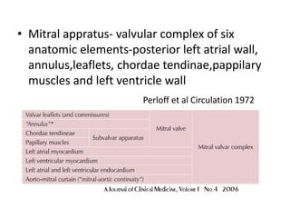 anatomy of mitral valve | PPTX
