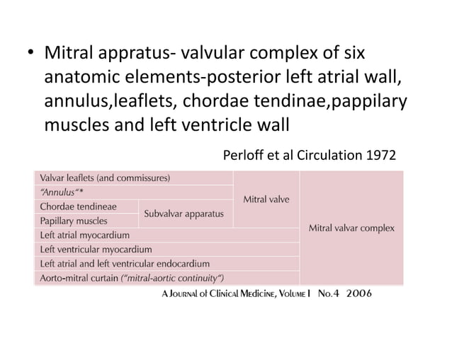 anatomy of mitral valve | PPTX