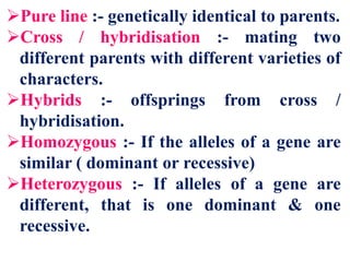Mendelism | PDF