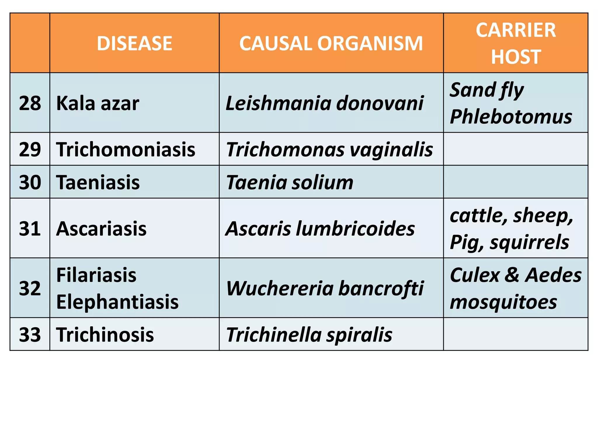 Common Human Diseases | PDF