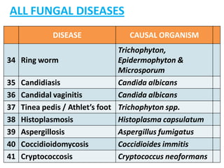 Common Human Diseases | PDF