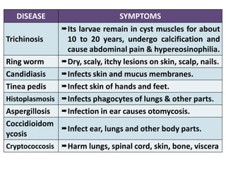 Common Human Diseases | PDF
