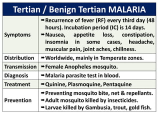 Common Human Diseases | PDF