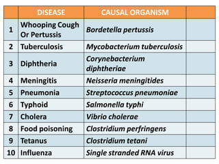 Common Human Diseases | PDF